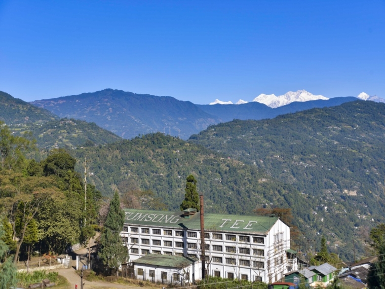 Gallery – Chamong Tea