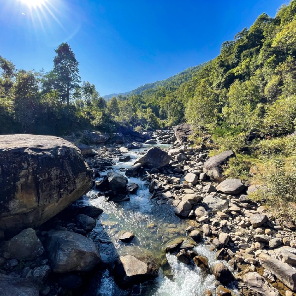 Gallery – Chamong Tea