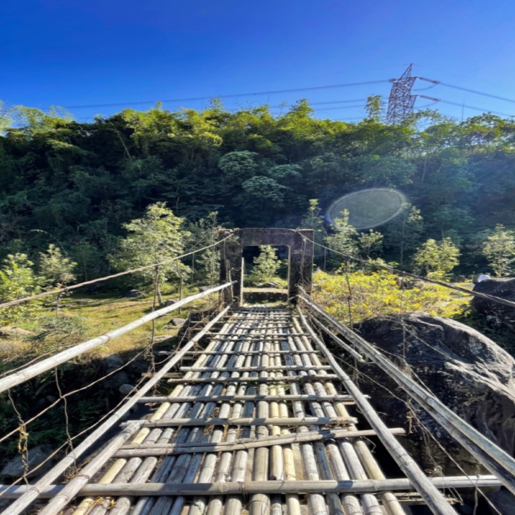 Gallery – Chamong Tea