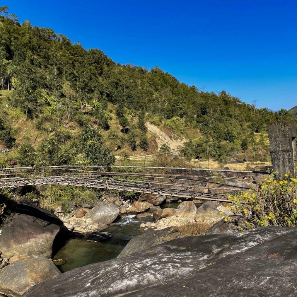 Gallery – Chamong Tea