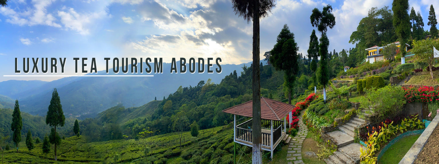 Other Ventures – Chamong Tea